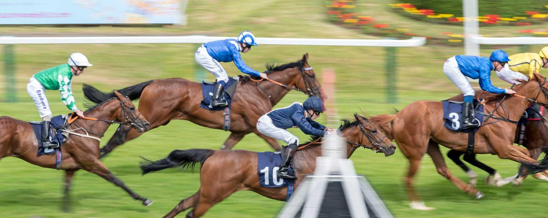 Race Meetings & Sporting Fixtures - Great Yarmouth