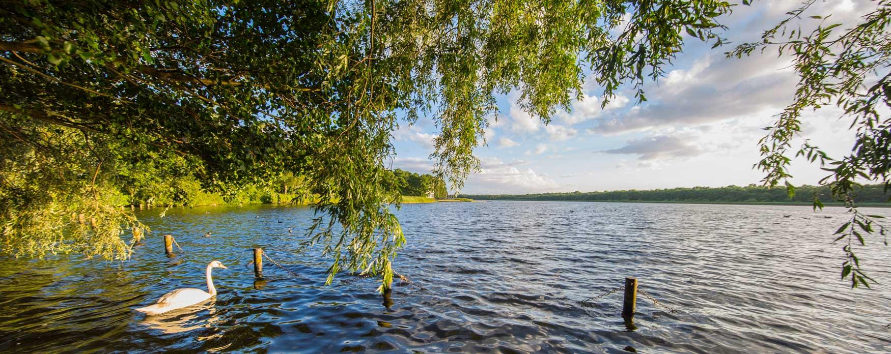 Rollesby - Great Yarmouth